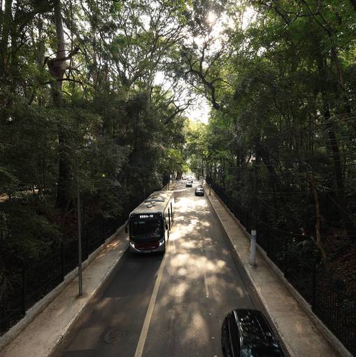 Photos Parque Trianon - Tenente Siqueira Campo - São Paulo - SP - MANIA ...